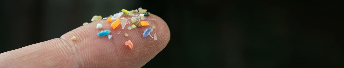 Microplastics in Our Brains and Everywhere Else: A Growing Concern for ...
